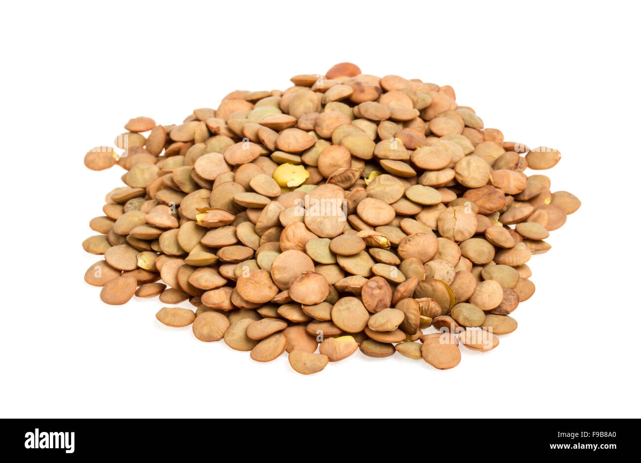Lentils Isolated on White Background Stock Photo - Alamy