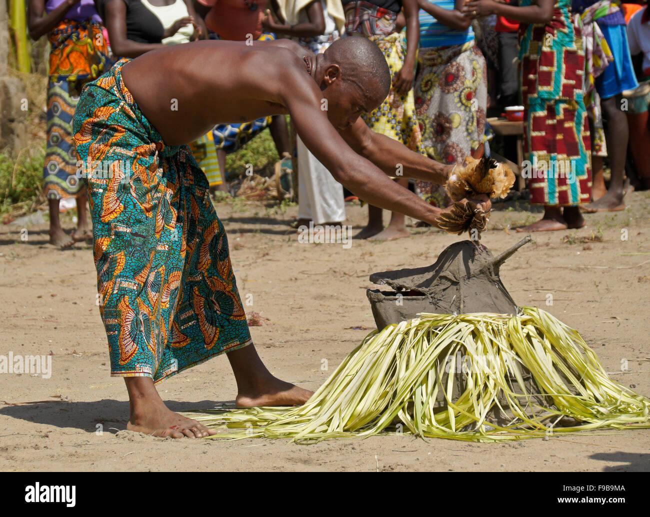 Man sacrificing chicken hi-res stock photography and images - Alamy