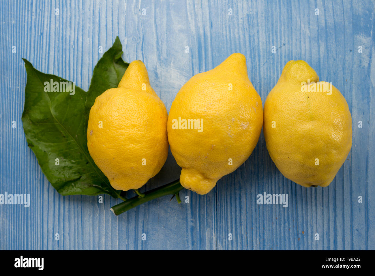 Three fresh lemons leaves hi-res stock photography and images - Alamy
