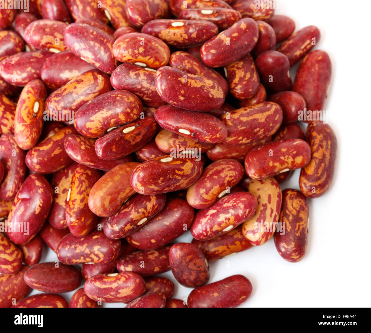 dried red beans on white background Stock Photo - Alamy
