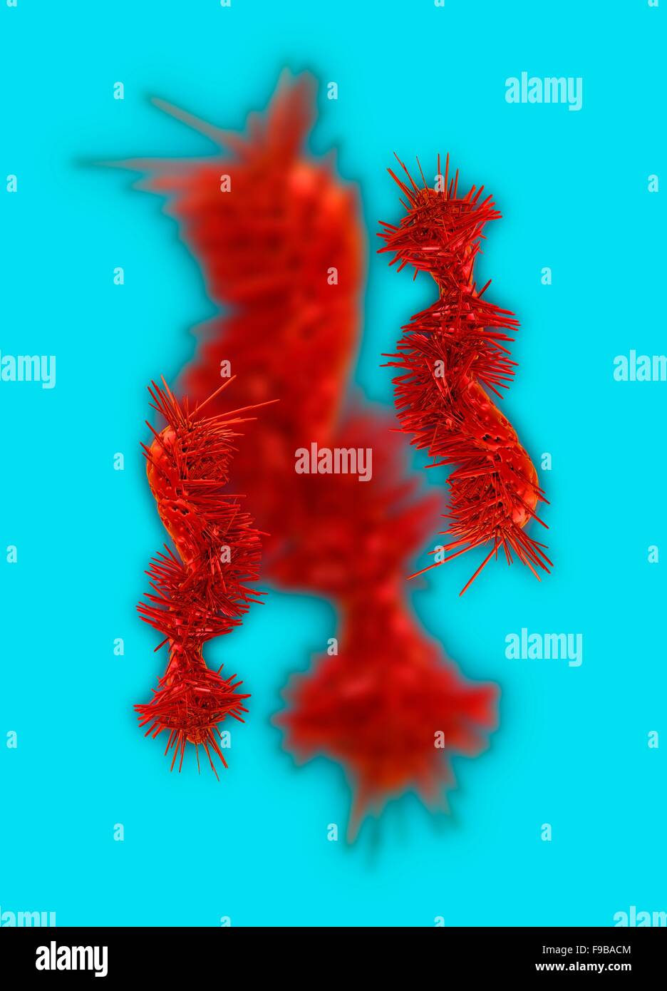 Flagella virus, computer illustration Stock Photo - Alamy