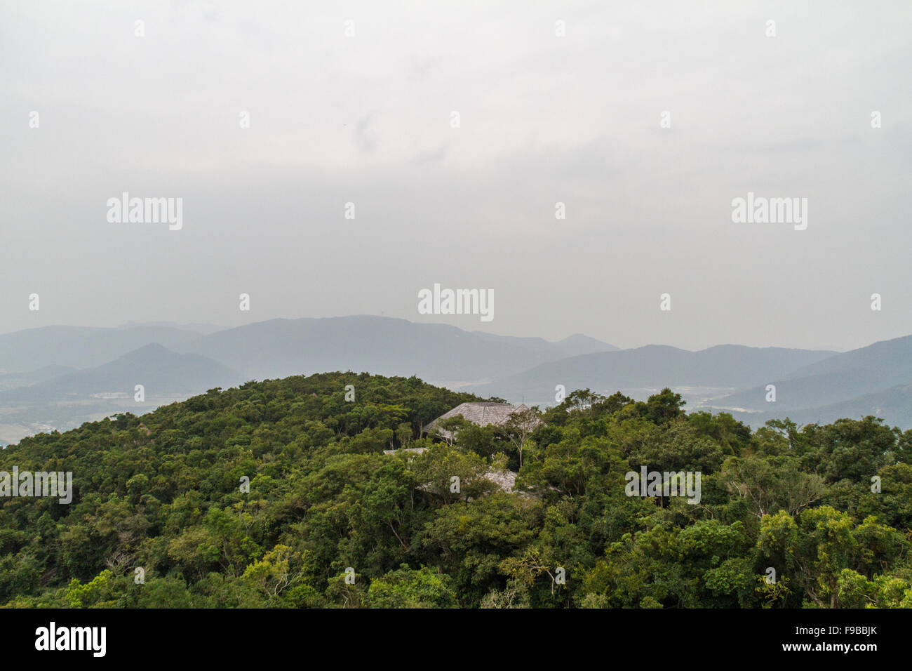 Chinese jungle, island of Hainan Stock Photo - Alamy