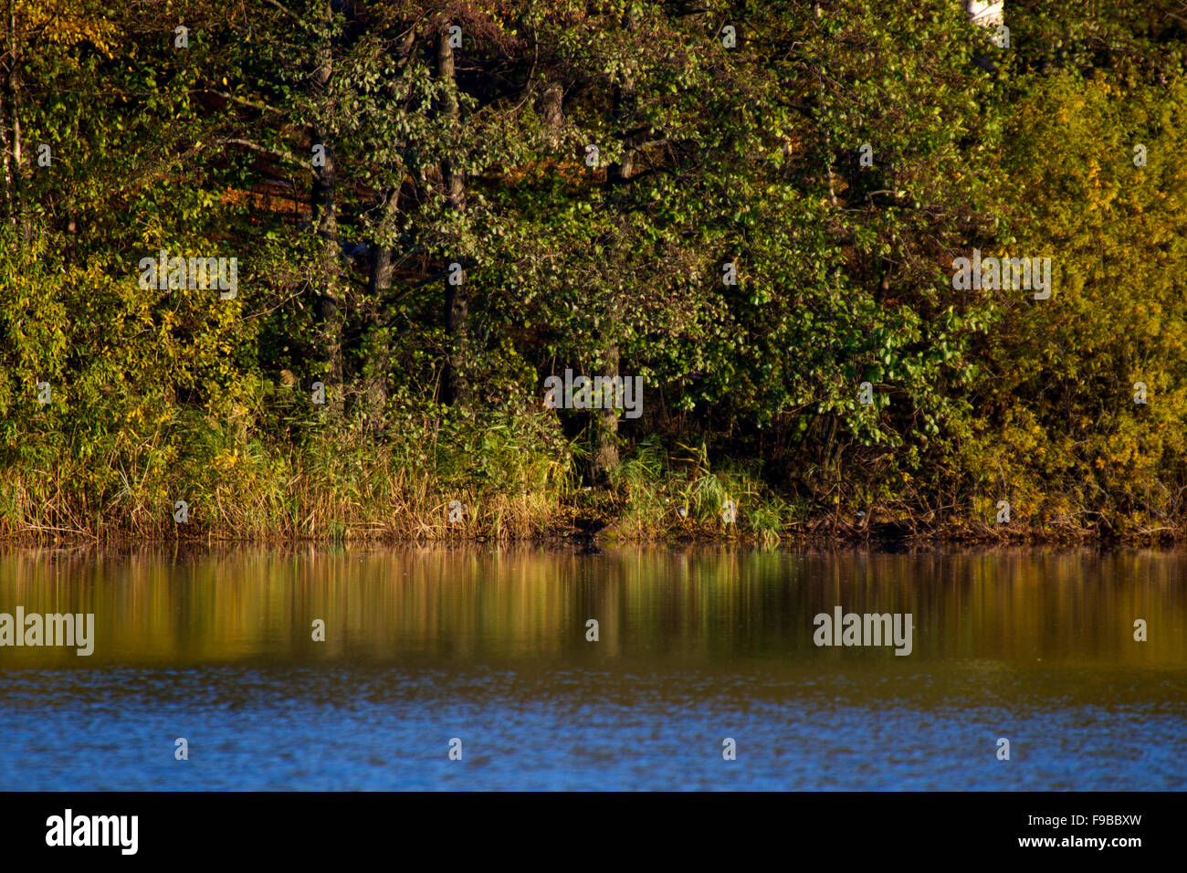 Colorful autumn trees fortress at the river front Stock Photo - Alamy
