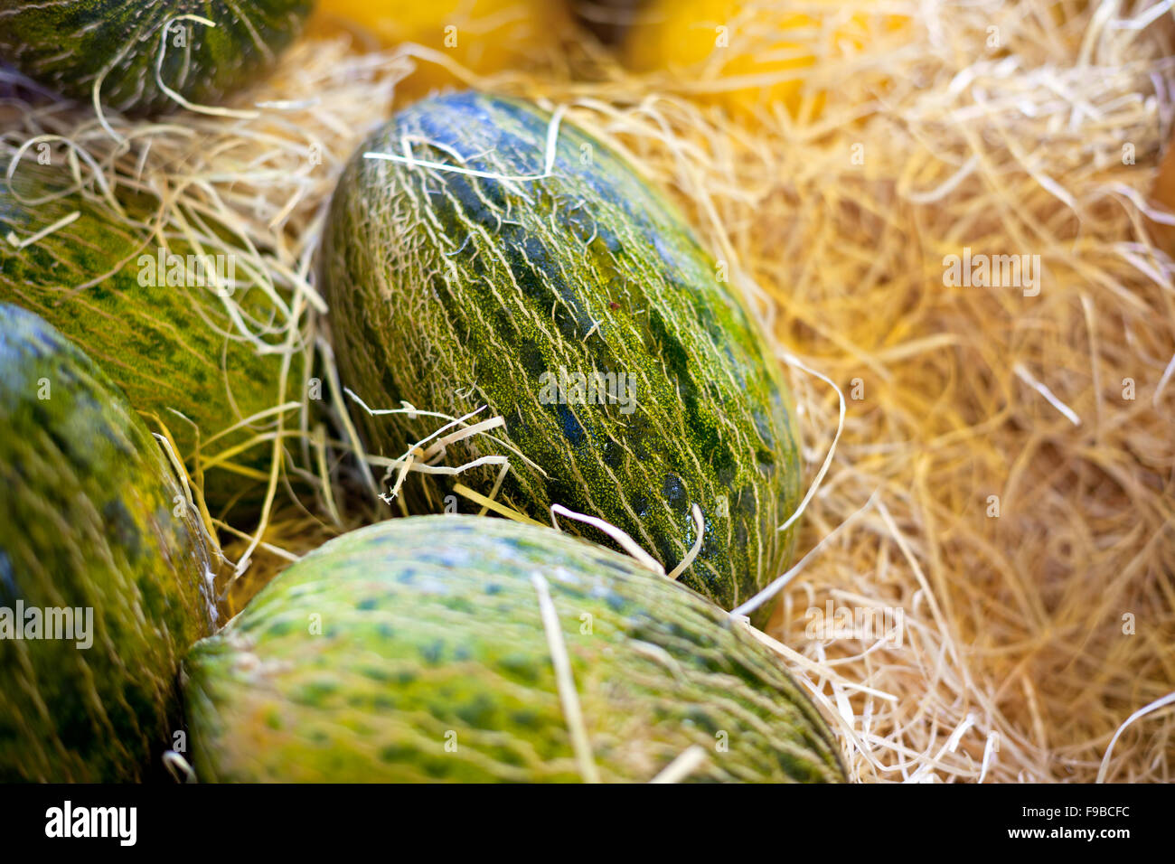 Ripe fresh melons pile hi-res stock photography and images - Alamy