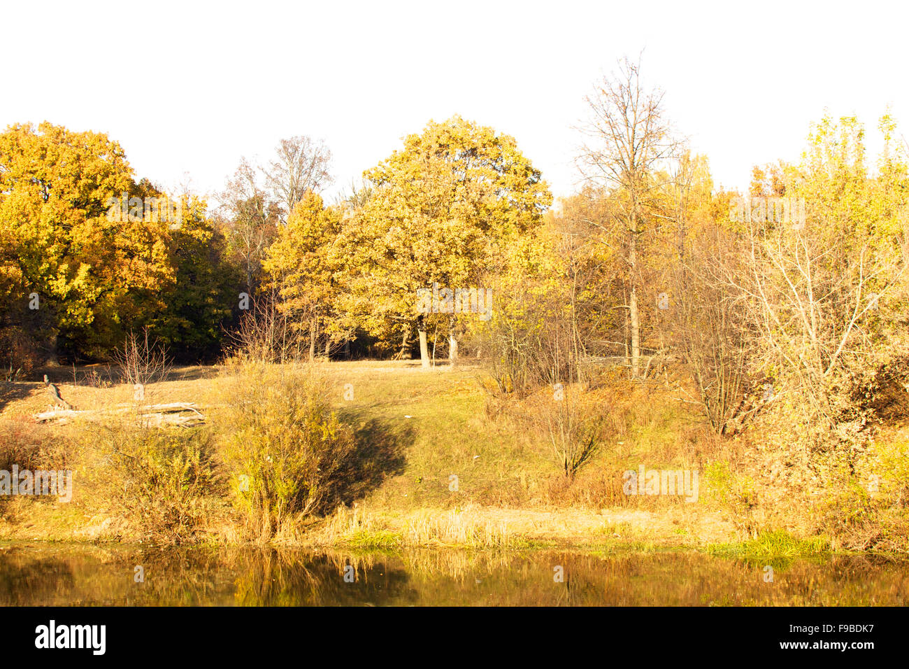 Colorful autumn trees fortress at the river front Stock Photo - Alamy