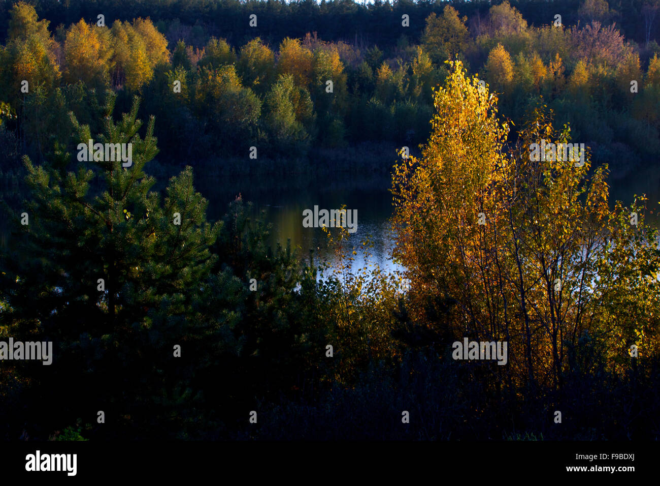Colorful autumn trees fortress at the river front Stock Photo - Alamy