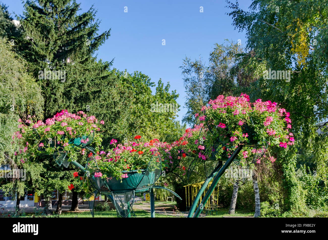 Shape with flowers in garden of Razgrad town, Bulgaria Stock Photo - Alamy