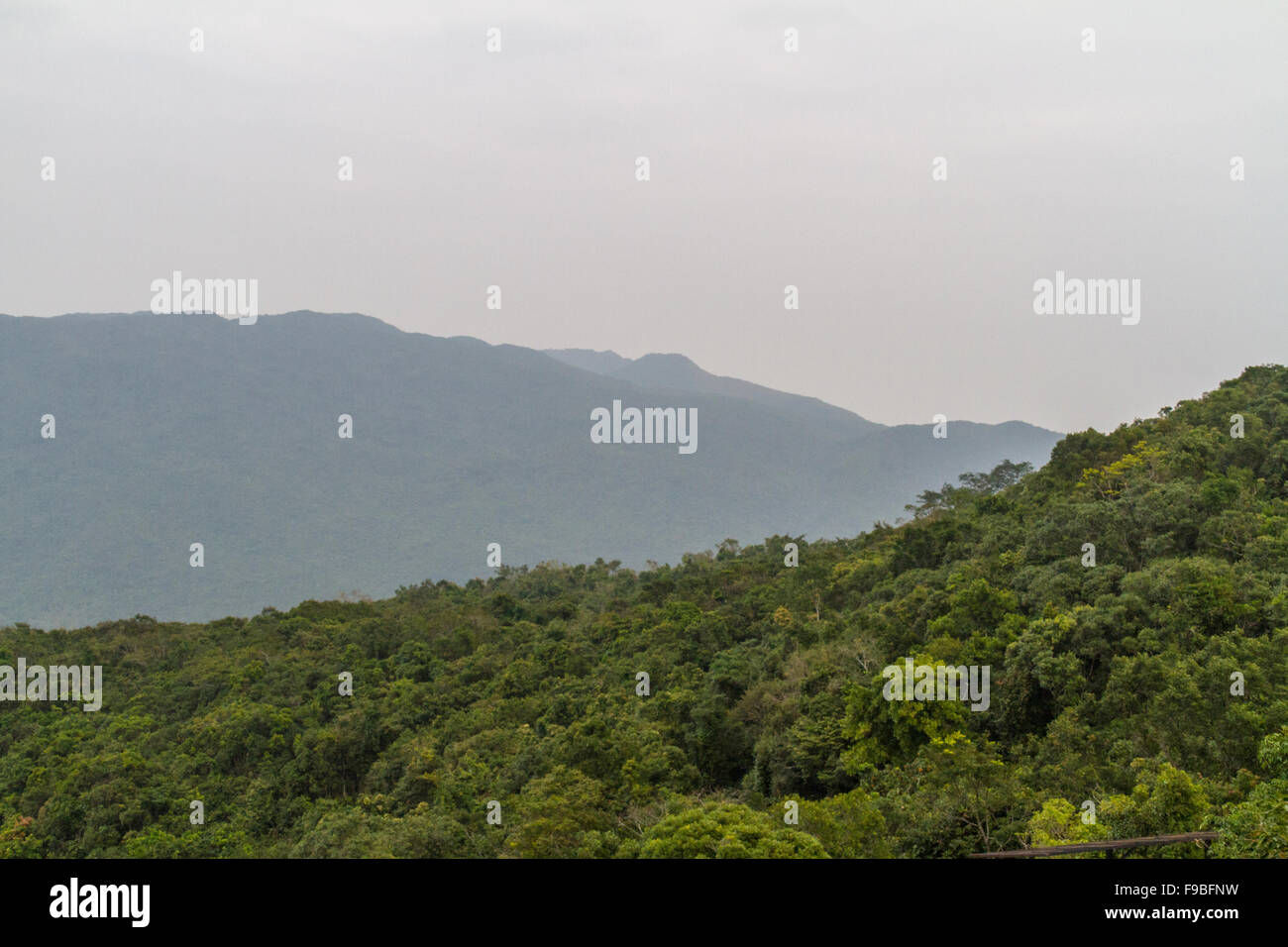Chinese jungle island hainan hi-res stock photography and images - Alamy