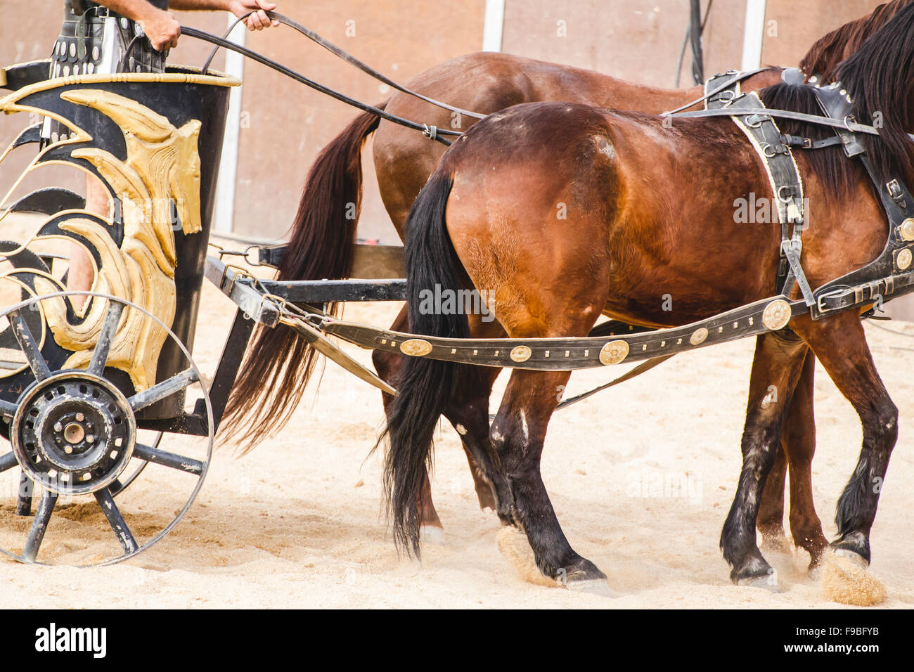 Competitors, Roman chariots in the circus arena, fighting warriors and ...