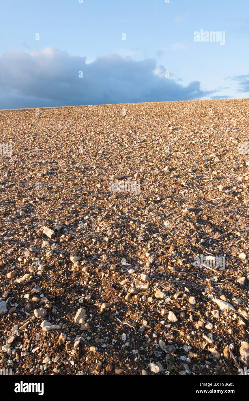 Light brown bare earth of tilled field beneath a partly clouded late ...