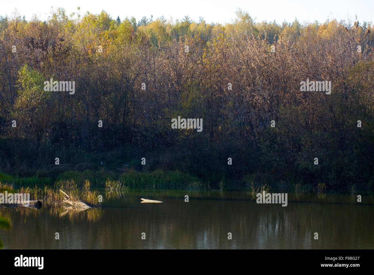 Colorful autumn trees fortress at the river front Stock Photo - Alamy