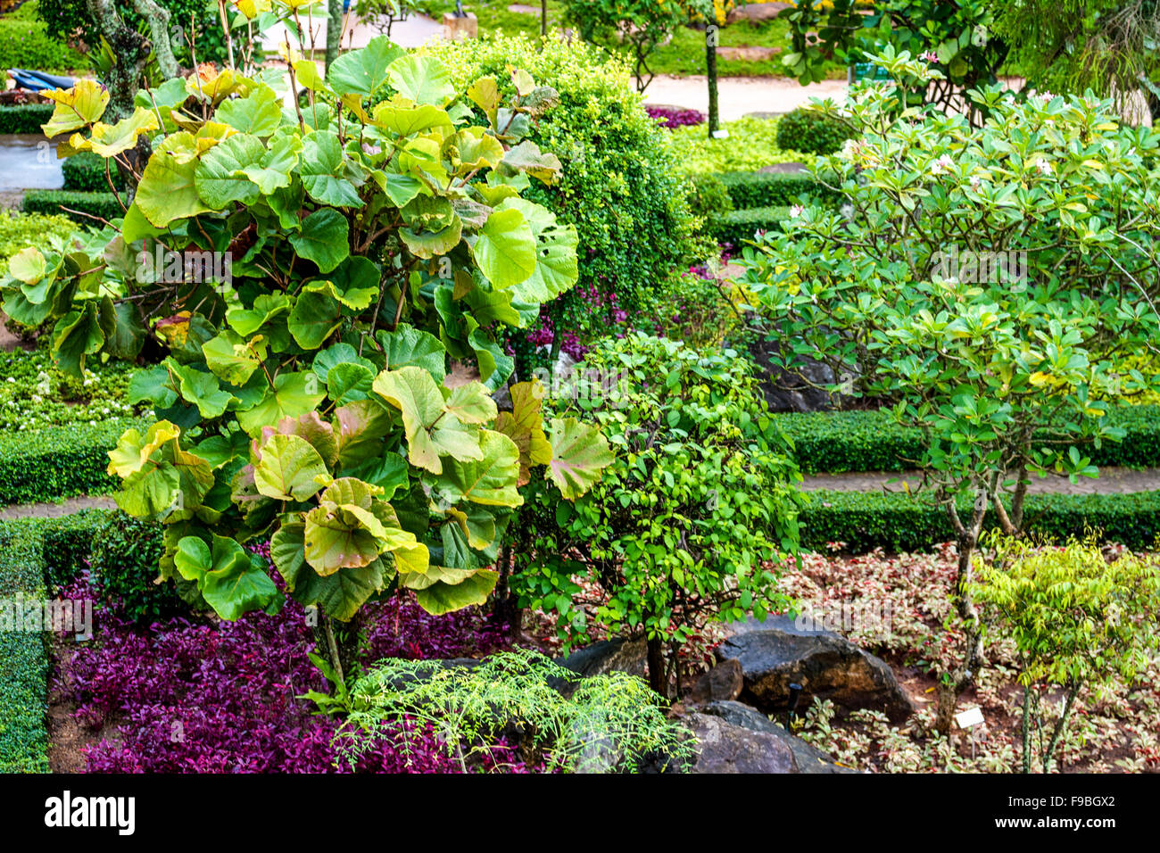 Thai style flower garden Stock Photo - Alamy