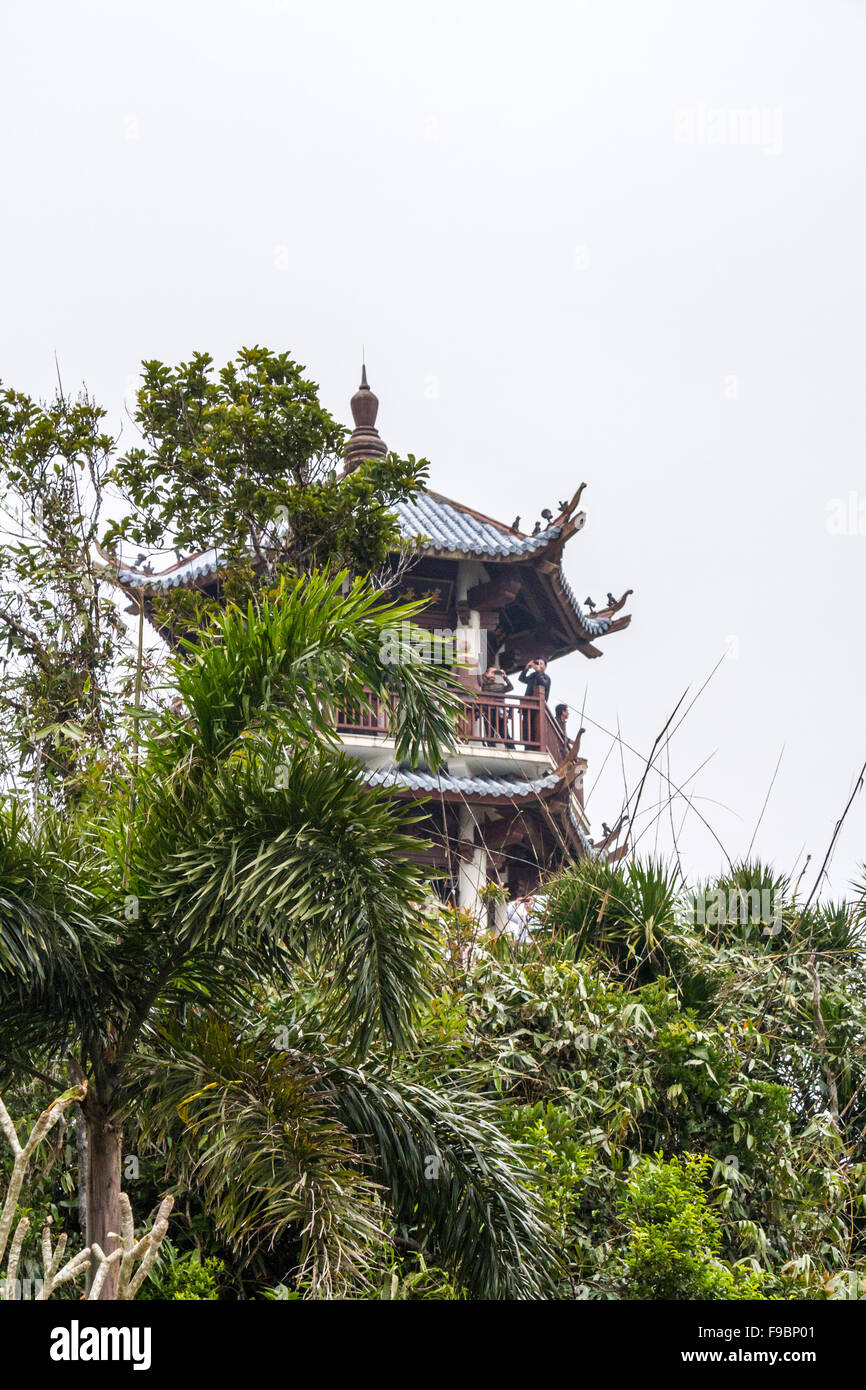 Chinese jungle, island of Hainan Stock Photo - Alamy