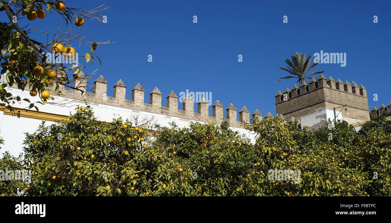 Real alcazar in seville hi-res stock photography and images - Alamy