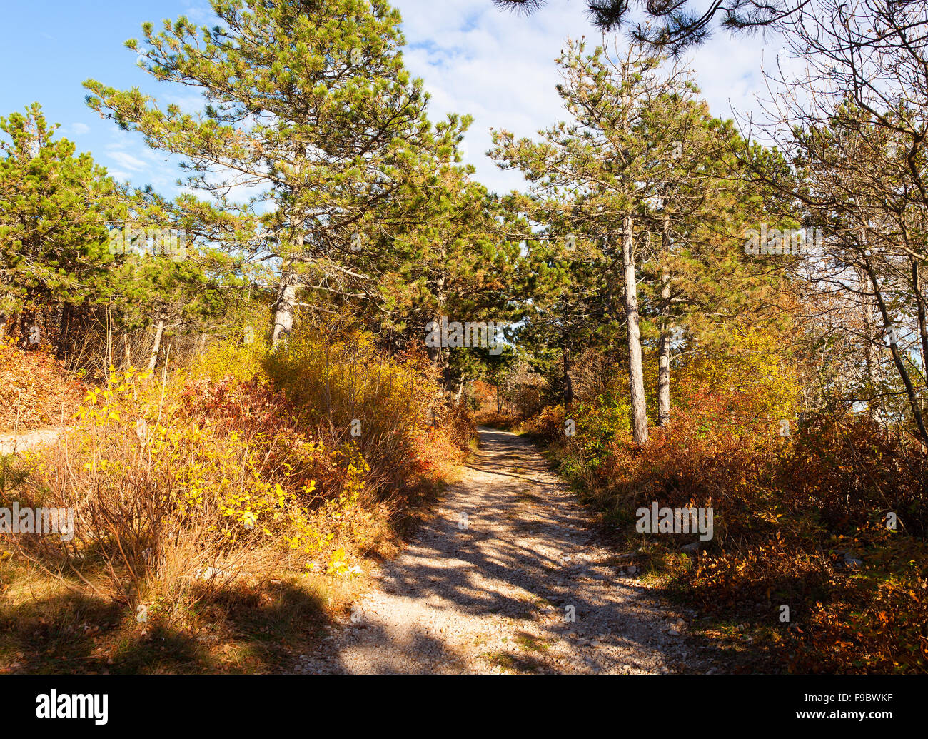 Karst road hi-res stock photography and images - Alamy