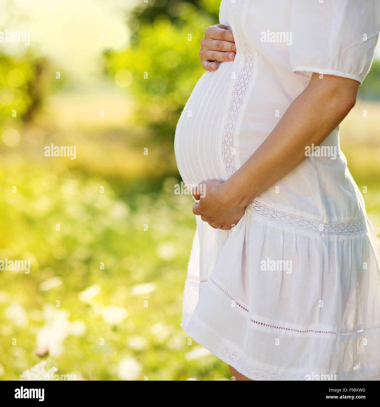 Close up of pregnant belly in nature Stock Photo - Alamy