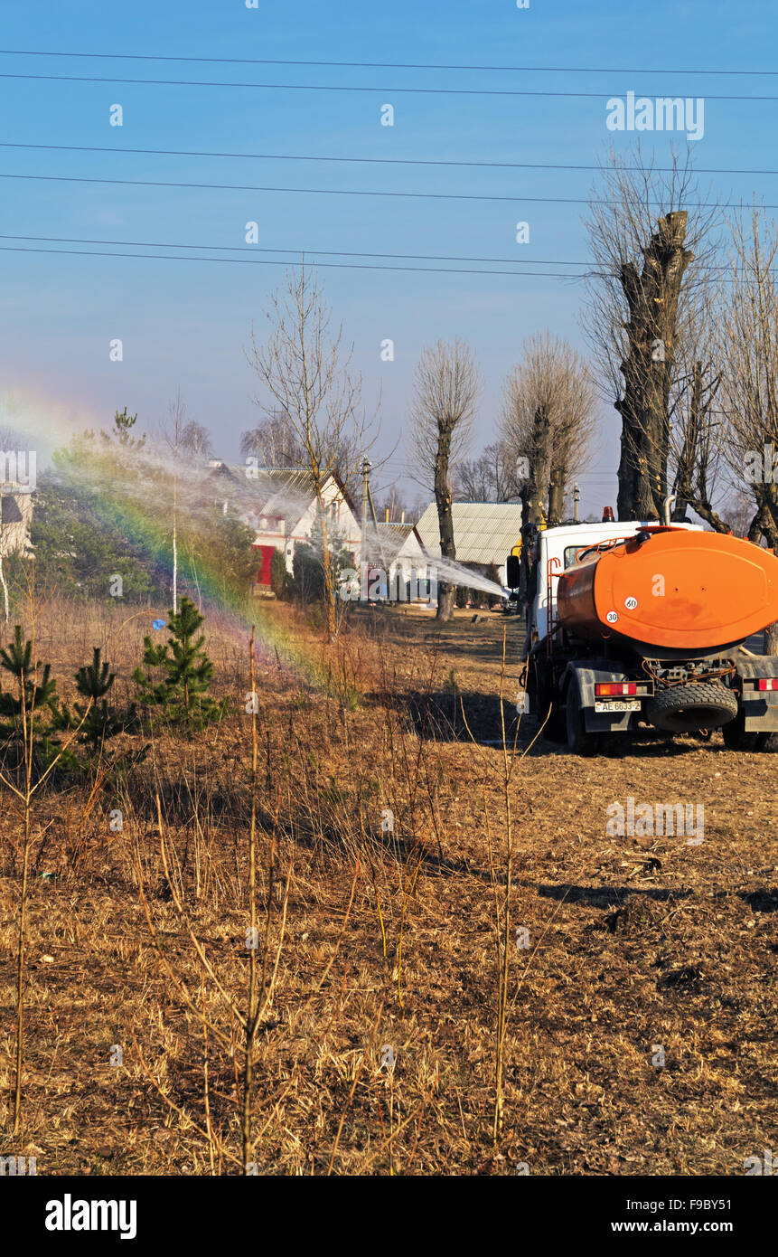 Spraying water on young trees in park from street sprinkler truck Stock ...