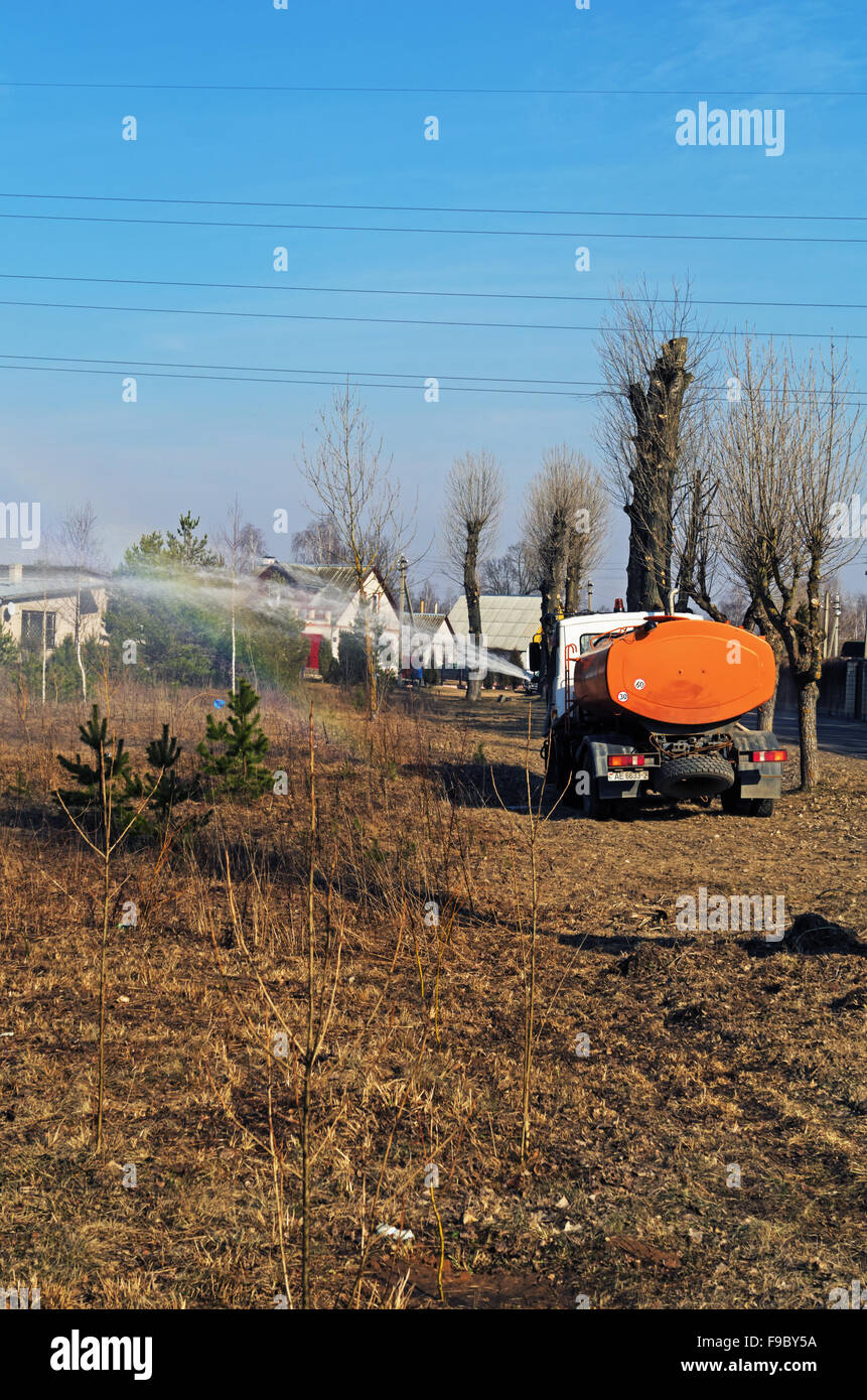 Spraying water on young trees in park from street sprinkler truck Stock ...