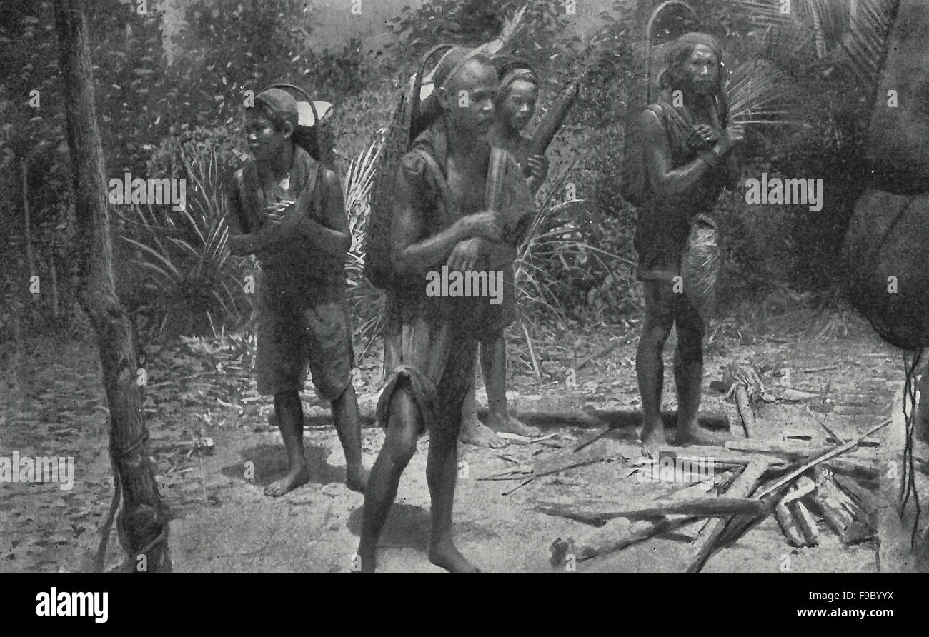 Packing through the Sumatran Jungle, circa 1900 Stock Photo - Alamy