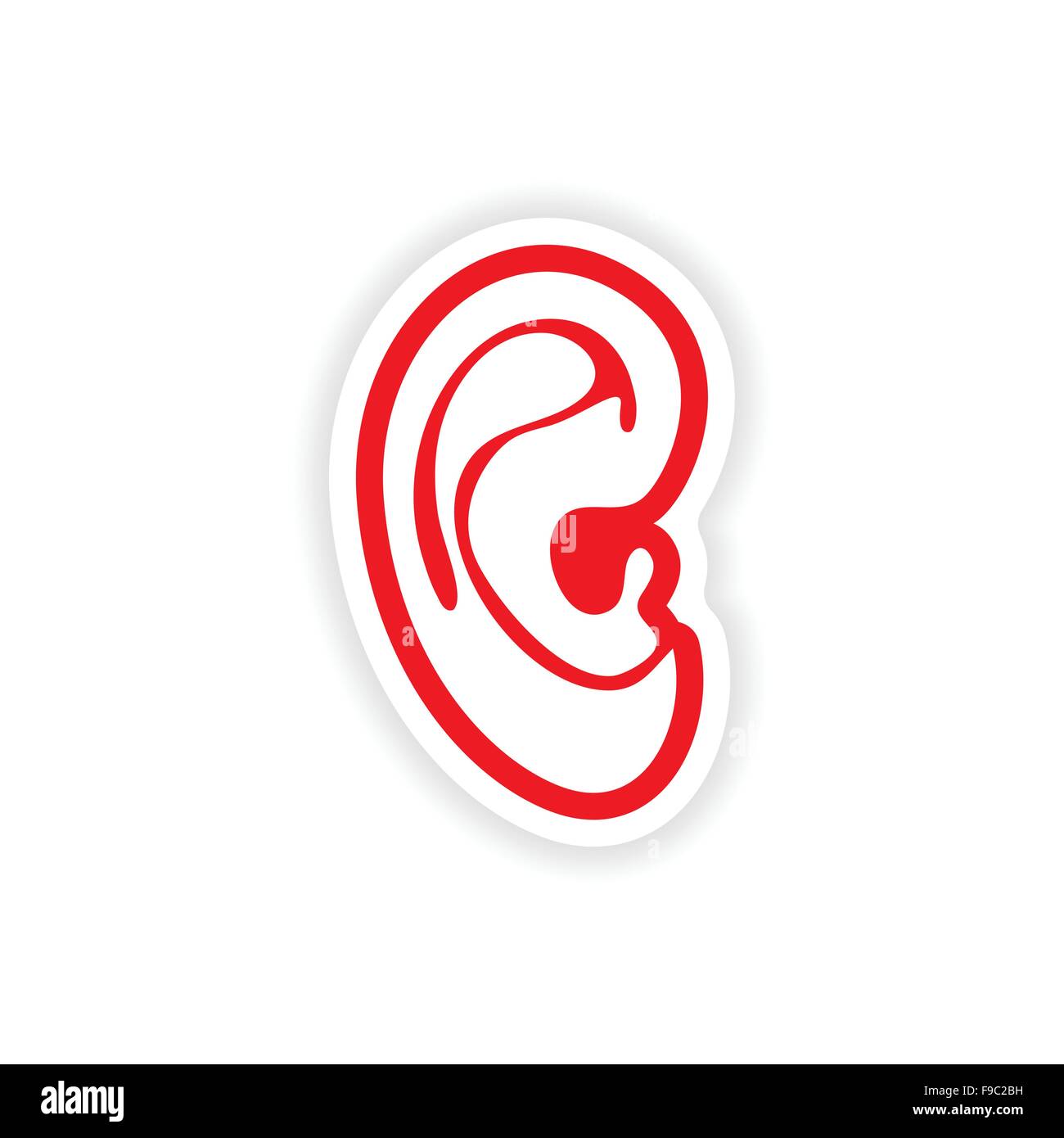 Anatomy of external ear Cut Out Stock Images & Pictures - Alamy