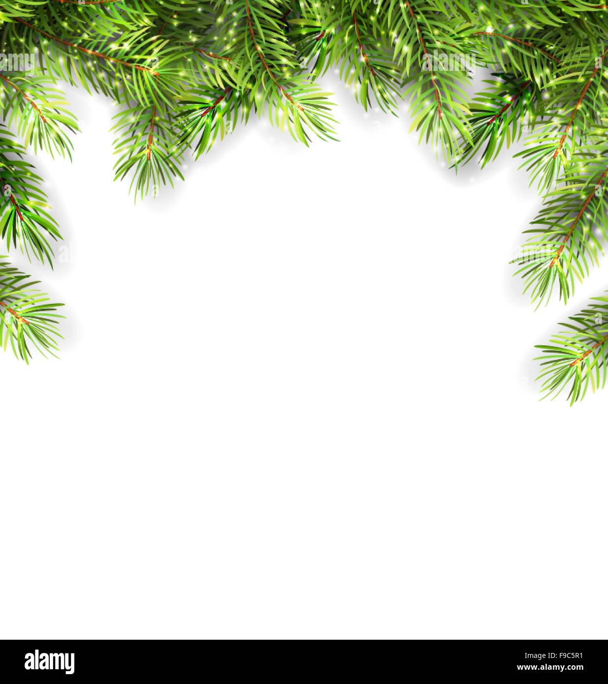 Nordmann fir branch Stock Vector Images - Alamy