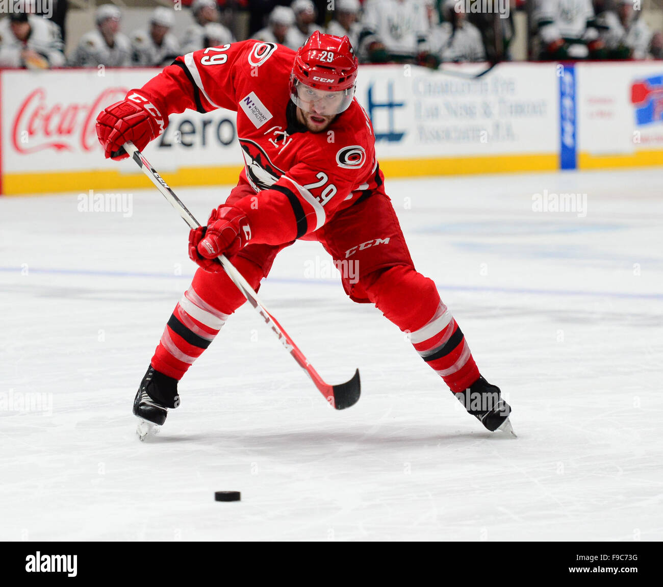 Charlotte Checkers D Michal Jordan (29) during the AHL game between the ...