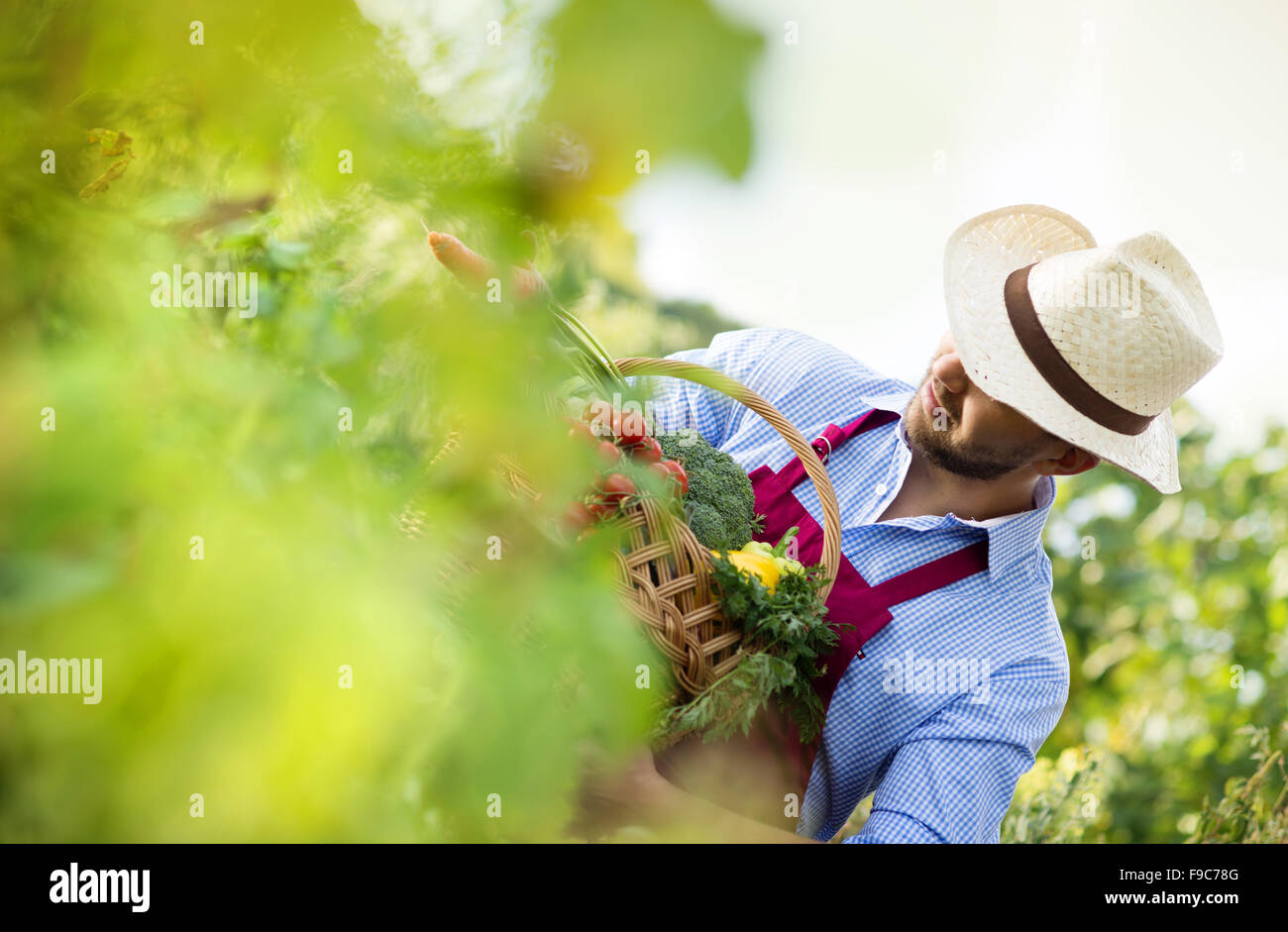 Man gardener in gloves hi-res stock photography and images - Alamy