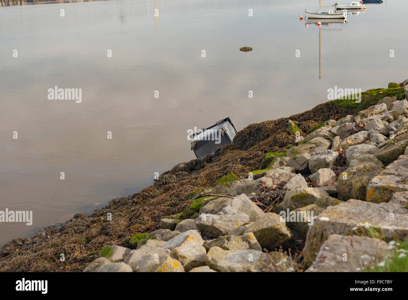 Save cork city hi-res stock photography and images - Alamy