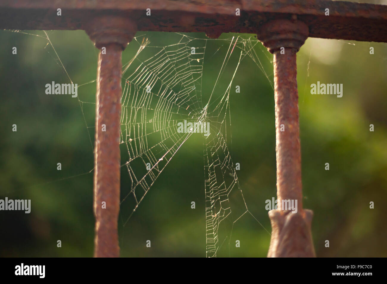 City spider web hi-res stock photography and images - Alamy