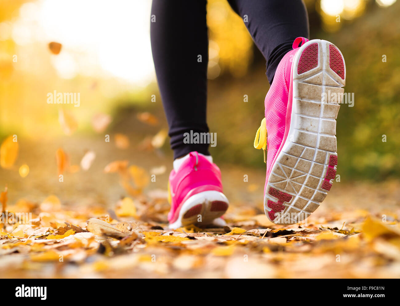 Running in leaves hi-res stock photography and images - Alamy