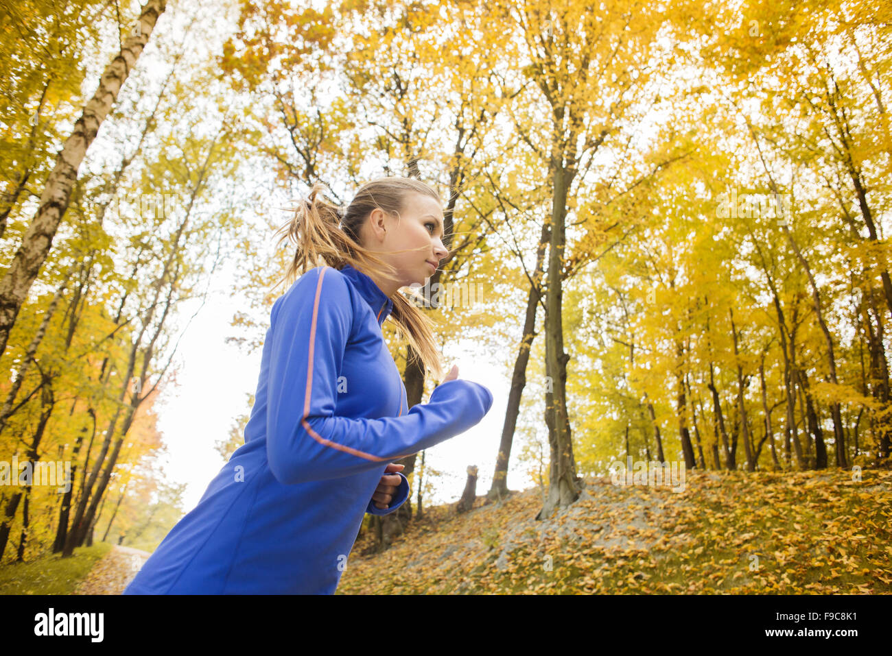 Bautiful running woman jogging in autumn nature Stock Photo - Alamy
