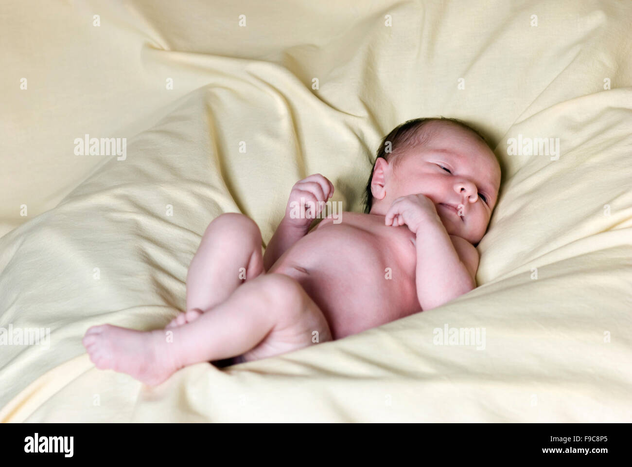 Little sweet newborn is resting Stock Photo - Alamy