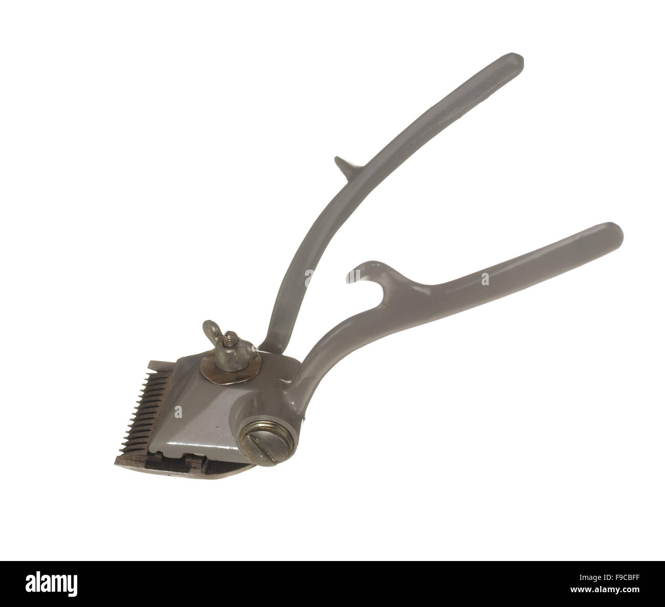 Old vintage manual metal hair clipper isolated on white background ...