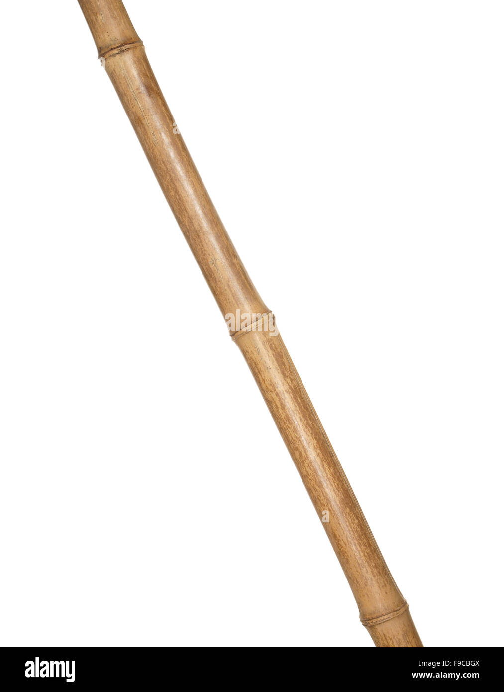 Part of the trunk of dry bamboo isolated on white background Stock ...