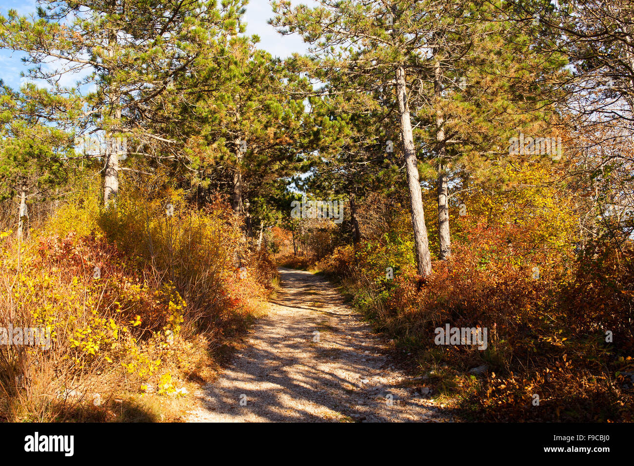 Karst road hi-res stock photography and images - Alamy