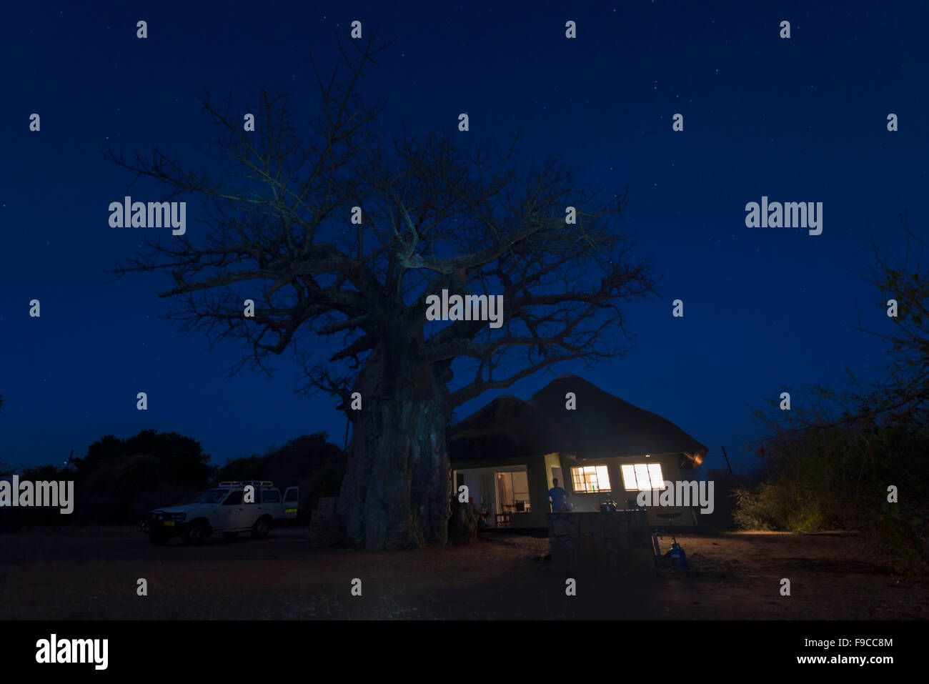 Mozambique baobab tree hi-res stock photography and images - Alamy