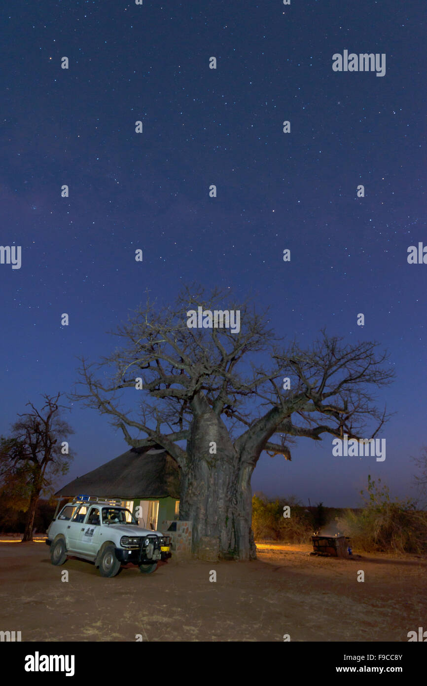 Mozambique baobab tree hi-res stock photography and images - Alamy