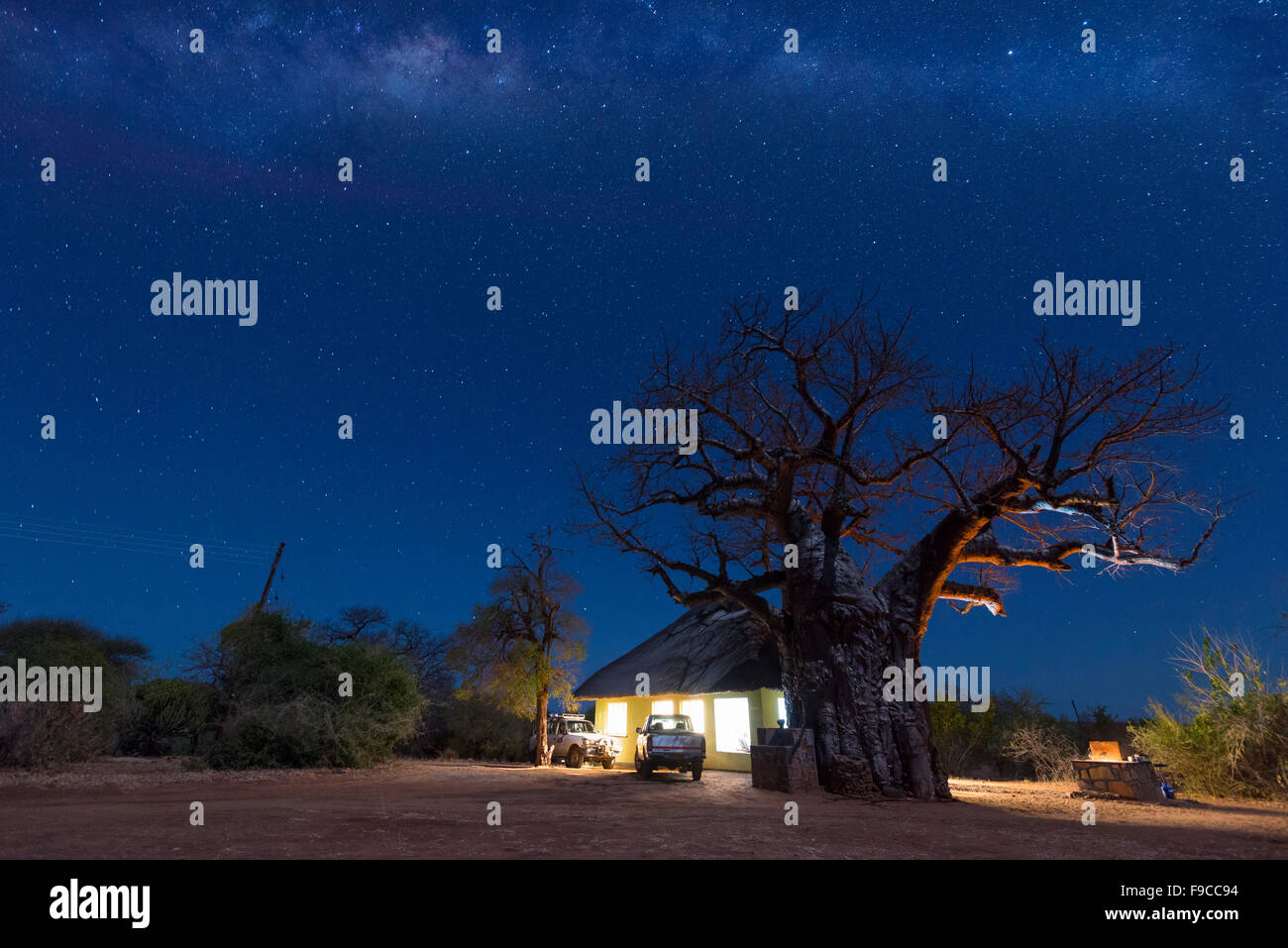 Mozambique baobab tree hi-res stock photography and images - Alamy
