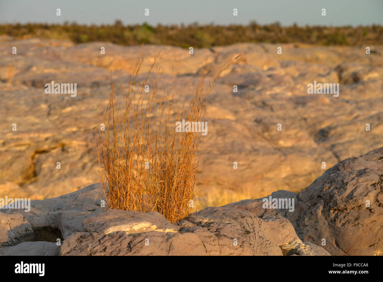 The rocky Mwenezi river in Zimbabwe's Gonarezhou National Park Stock ...