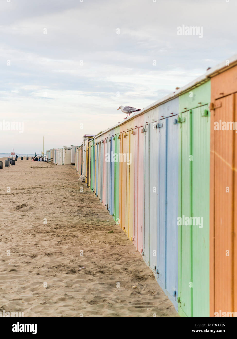 A long row of coloured storage sheds on a beach at the Dutch North Sea ...