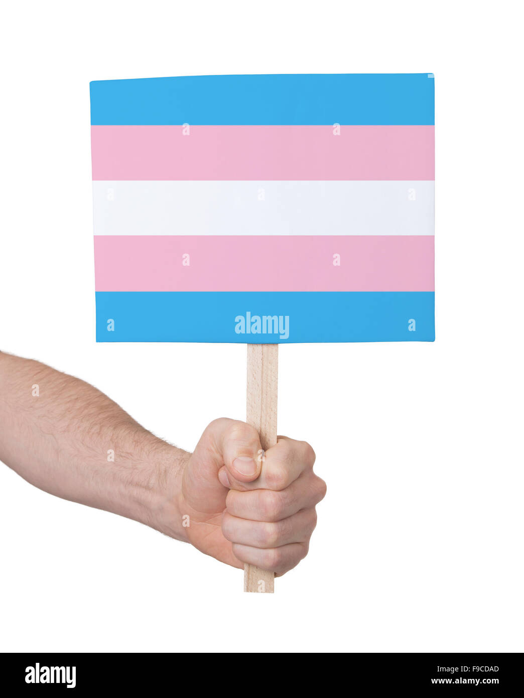 Hand holding small card, isolated on white - Flag of Trans Pride Stock ...