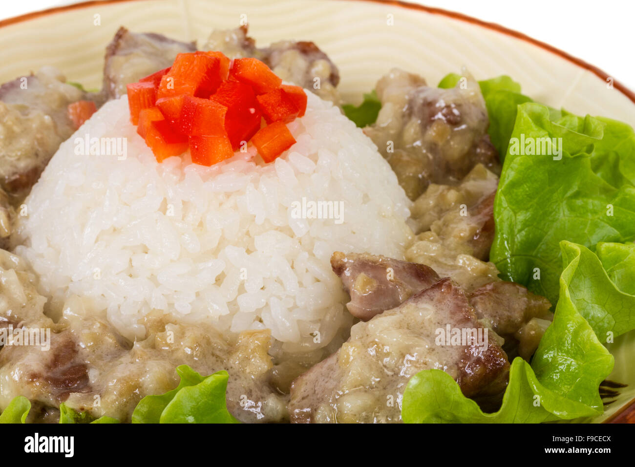 Rice and pork japanese style Stock Photo - Alamy