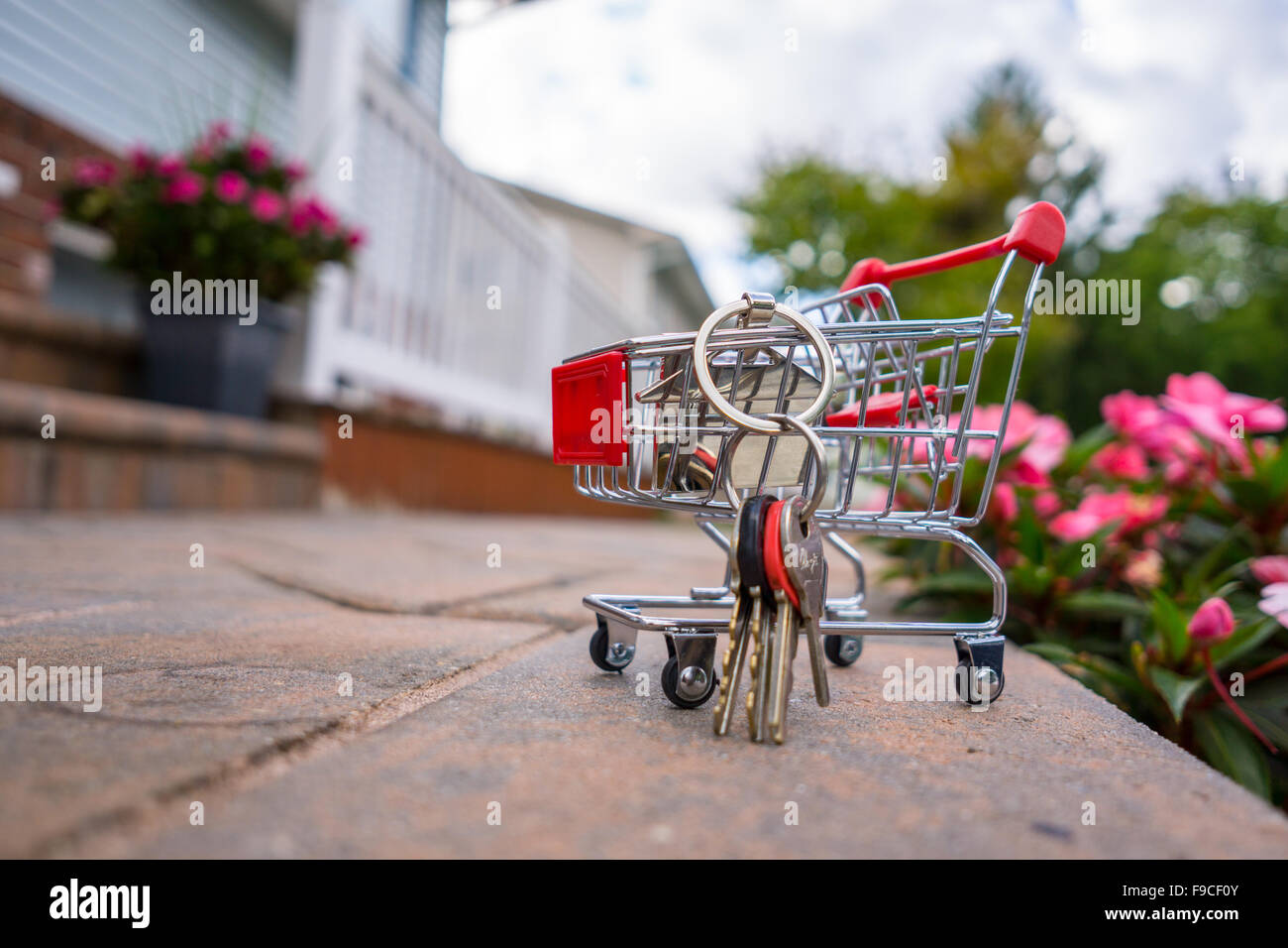 a house shape key chain with keys in a mini shopping cart in fornt of a ...