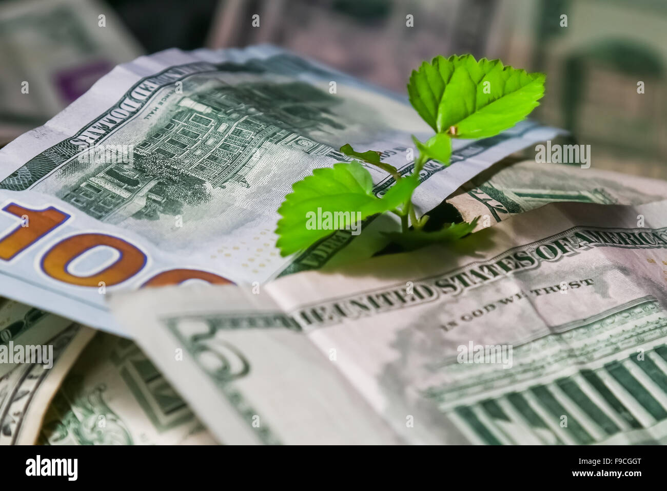 A young plant growing from money.Heap of money with seedling Stock ...