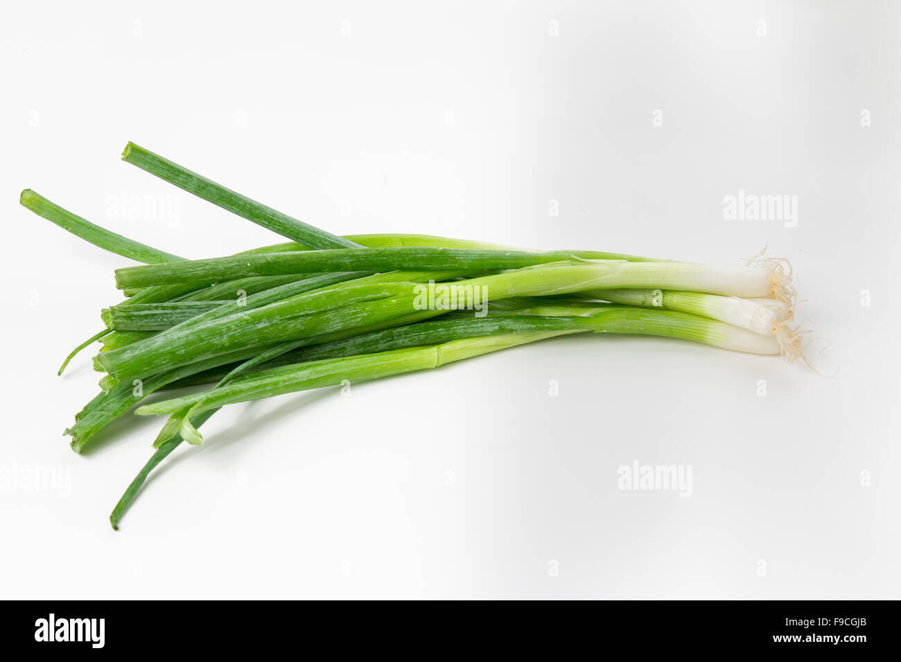 Colloquial hi-res stock photography and images - Alamy