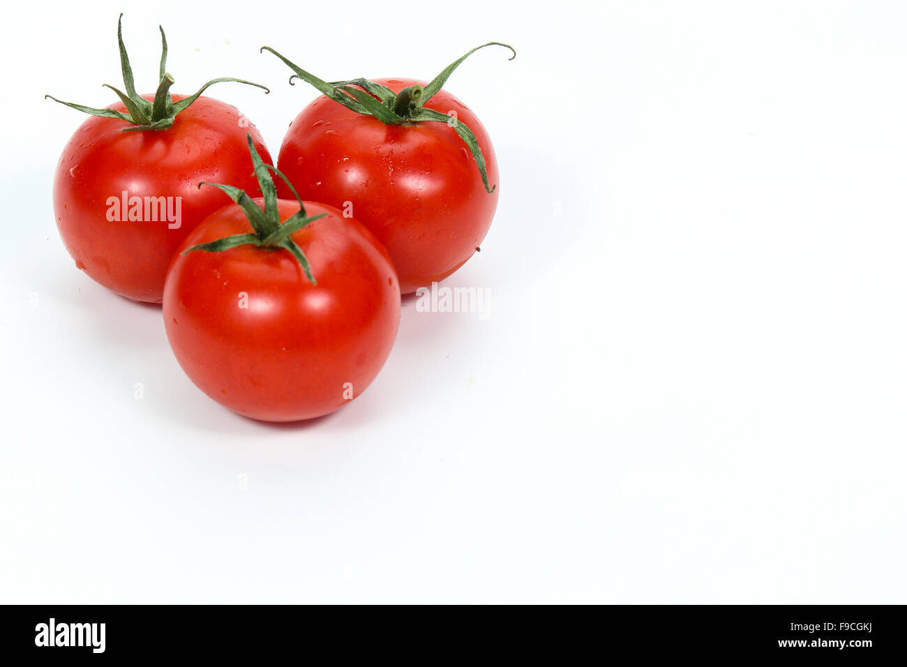 The tomato is the edible, often red fruit/berry of the nightshade ...