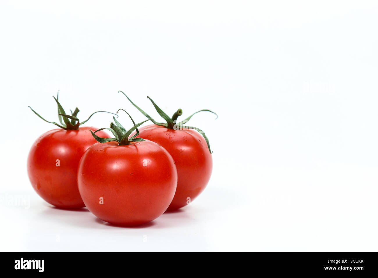 The tomato is the edible, often red fruit/berry of the nightshade ...