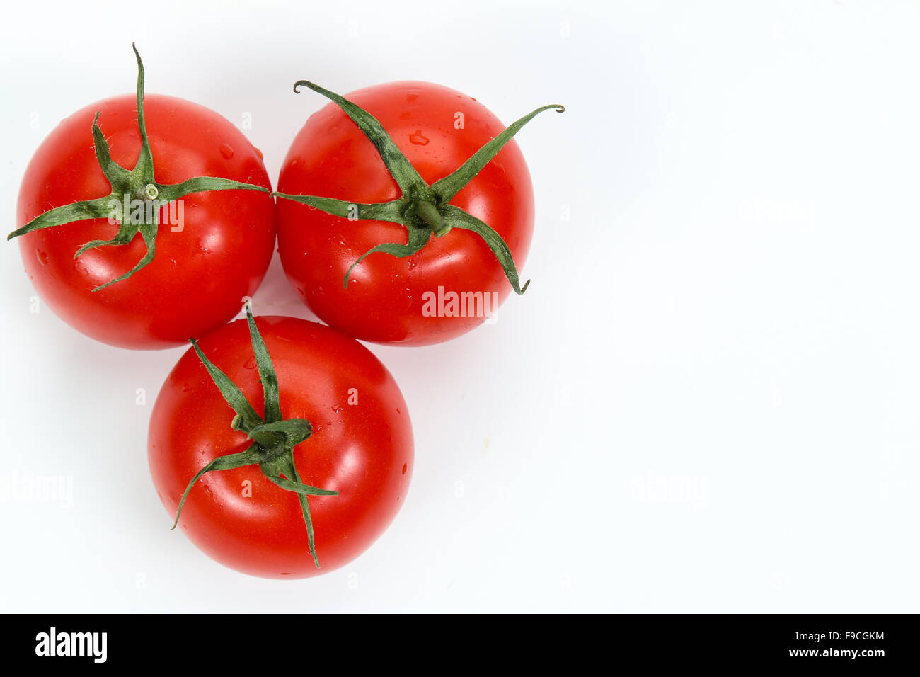 The tomato is the edible, often red fruit/berry of the nightshade ...