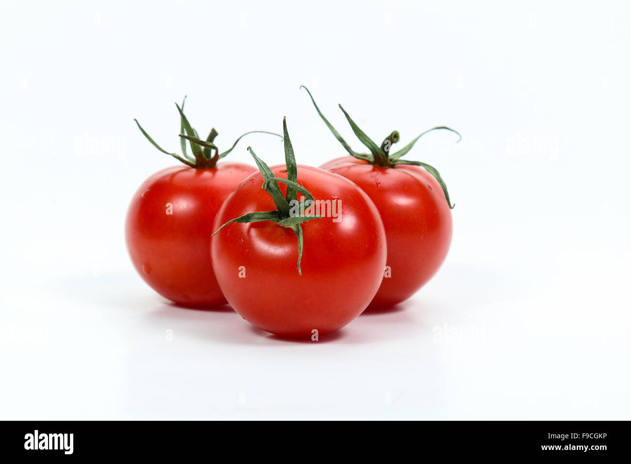 The tomato is the edible, often red fruit/berry of the nightshade ...