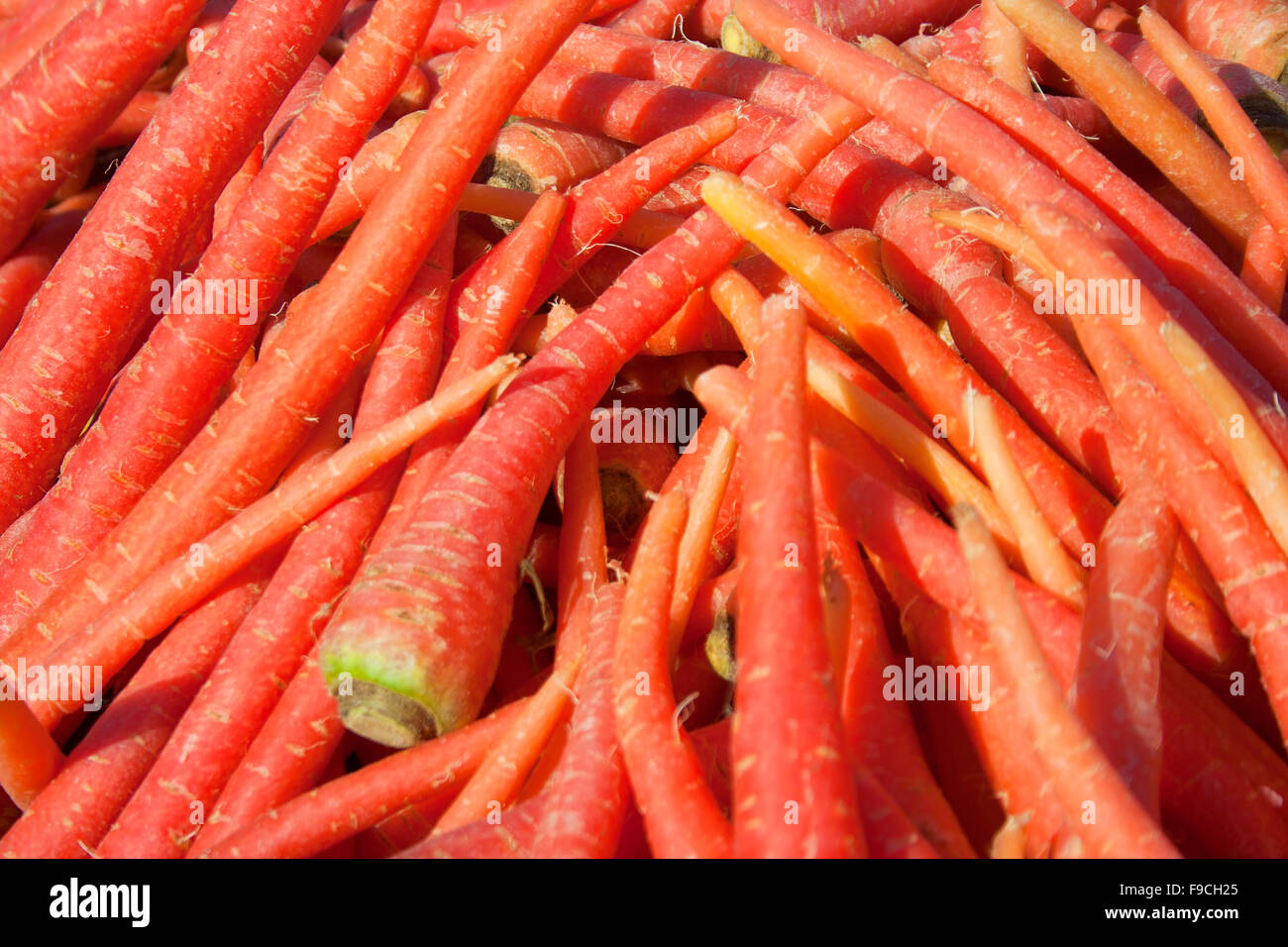 Red indian raw carrot hi-res stock photography and images - Alamy
